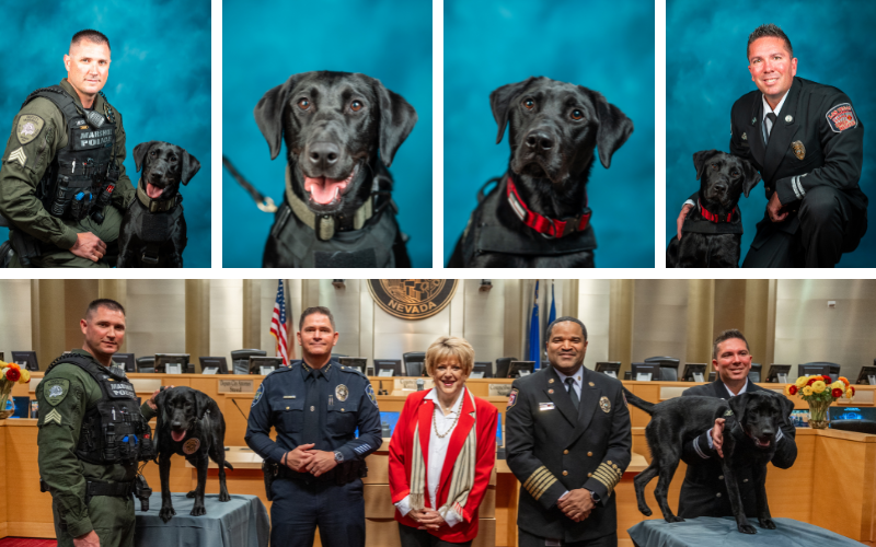 New K9s join public safety teams